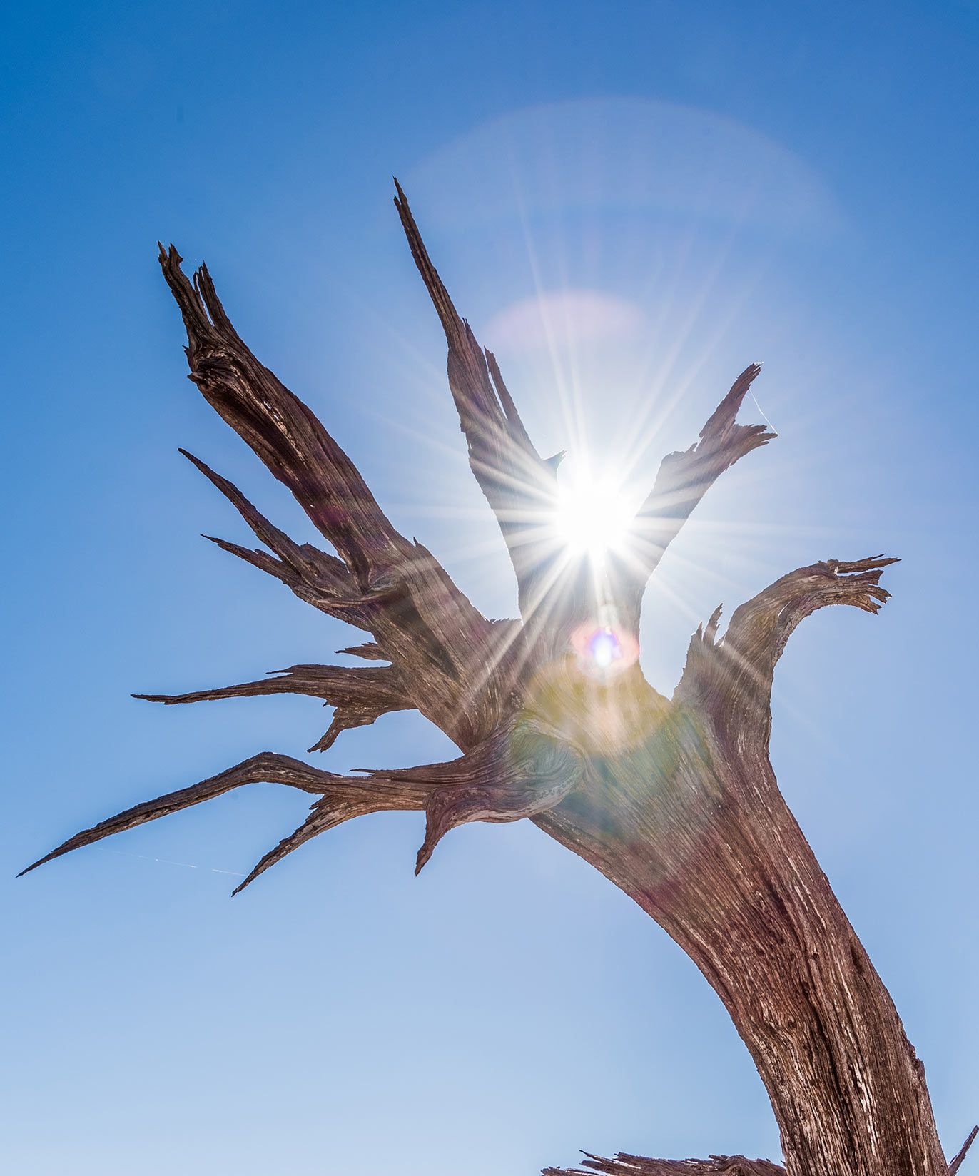 Getting to the Root of the Problem - Ellel UK Courses