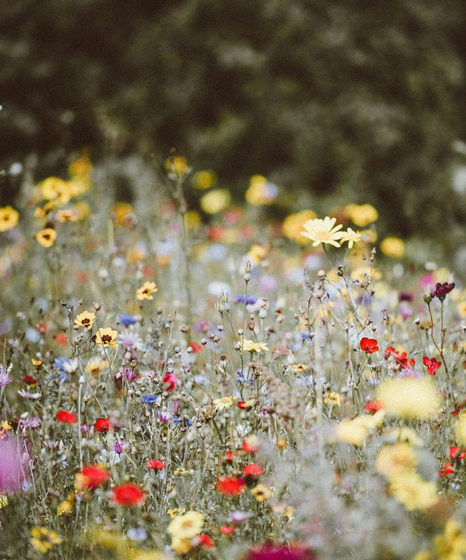 Real Women - Ellel UK Courses